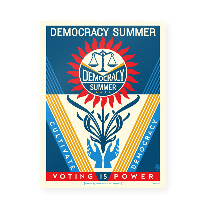 Democracy Summer Poster – Store | Jamie Raskin for Congress
